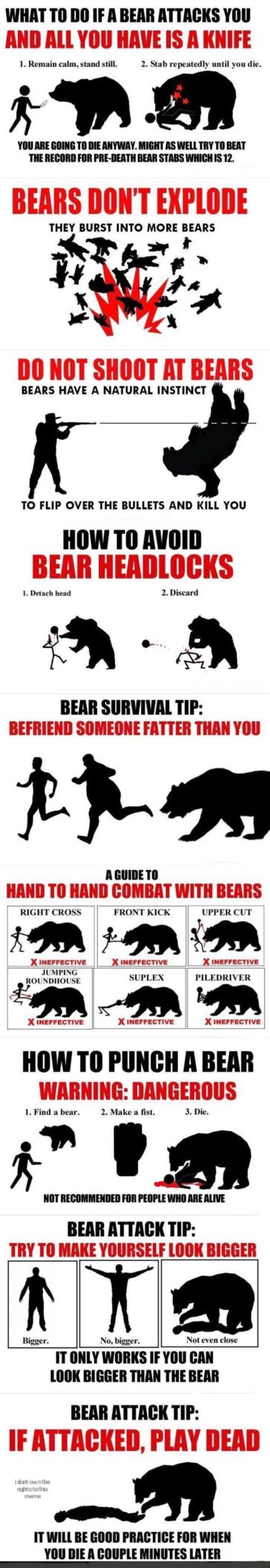Visual : Always good to “bear” in mind…! – Infographic.tv – Number one ...