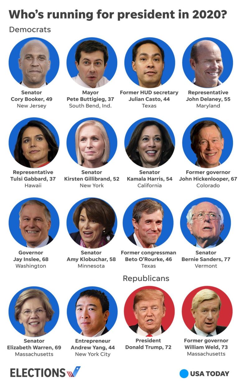 Visual : American presidential aspirants 2020 – Infographic.tv – Number ...