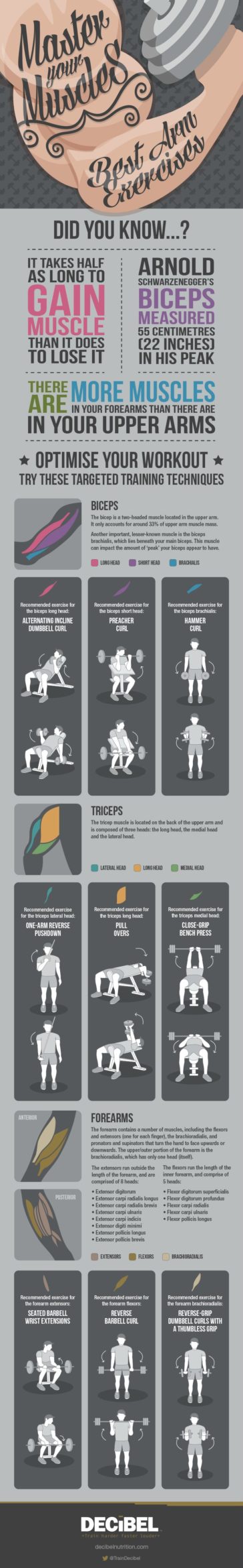 Visual : Best Arm Exercises – Infographic.tv – Number one infographics ...