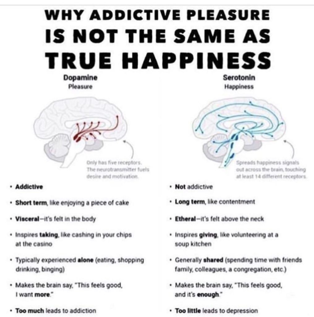 Visual : Found in /NoFap – Infographic.tv – Number one infographics ...