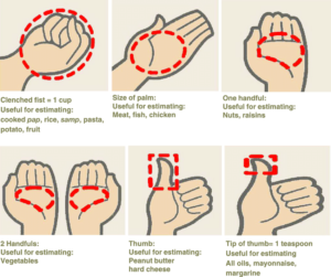 Visual : Guide for estimating with your hand – Infographic.tv – Number ...