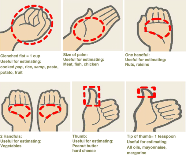 Visual : Guide for estimating with your hand – Infographic.tv – Number ...