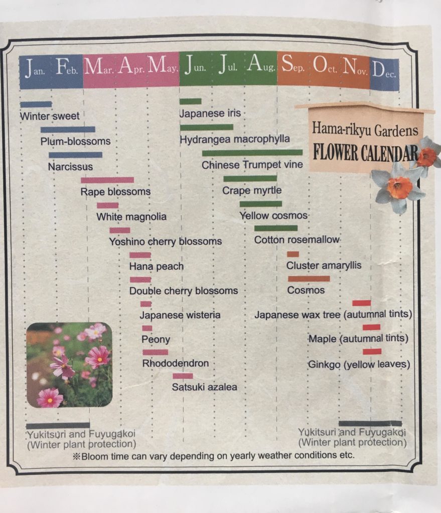 Visual : Guide to flowering trees and plants in Japan. Printed on the ...