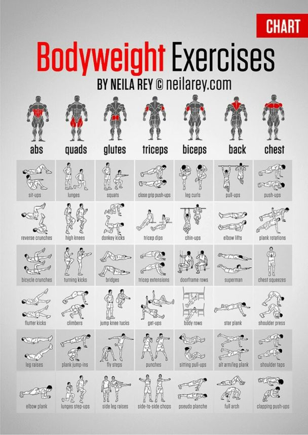 Visual : How To Properly Exercise Your Muscles – Infographic.tv ...