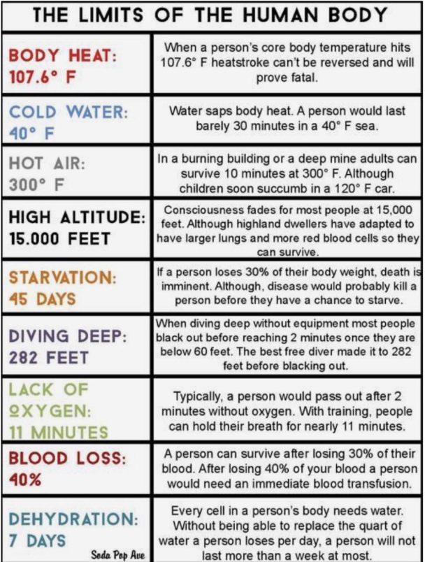 Visual : Limits of the Human Body – Infographic.tv – Number one ...