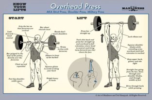 Visual : Overhead Press – Infographic.tv – Number one infographics ...