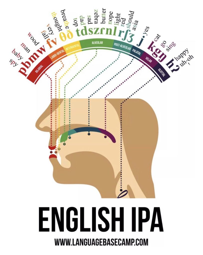 Visual : Where in your mouth each vocal sound is made – Infographic.tv ...