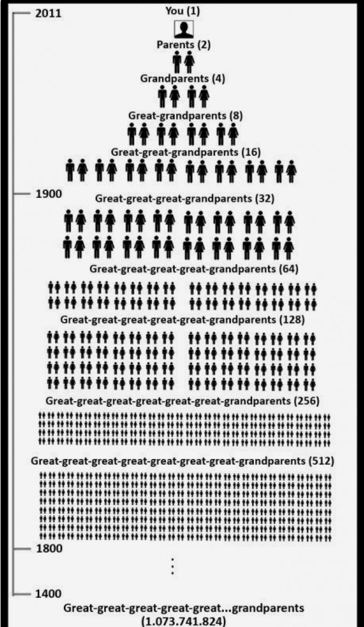 Visual : we’re related to everyone – Infographic.tv – Number one ...