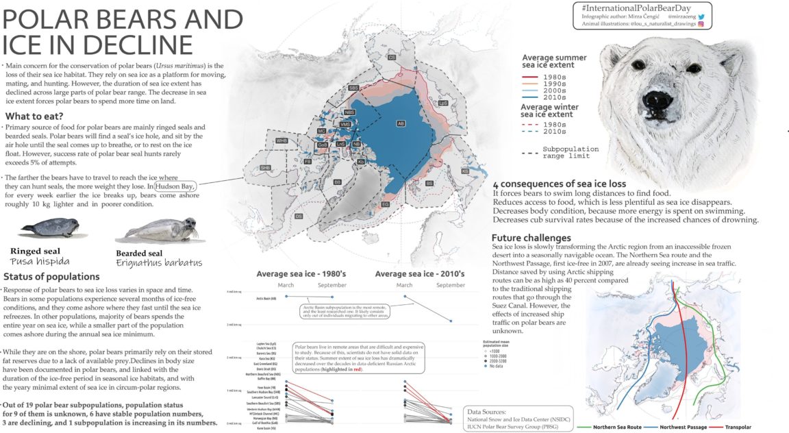data visualization : International polar bear day [OC] – Infographic.tv ...