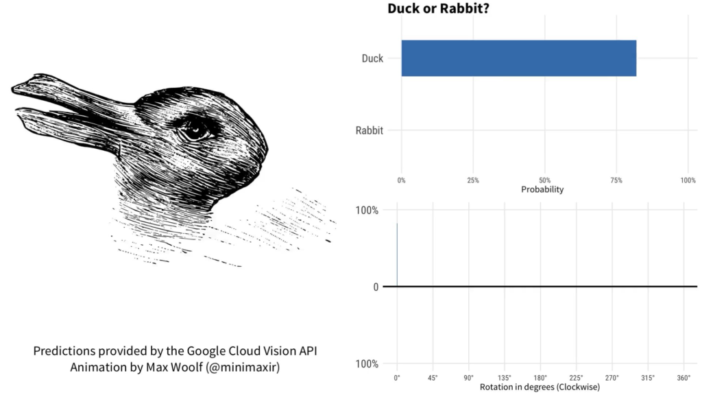data visualization : Is it a Duck or a Rabbit? For Google Cloud Vision ...