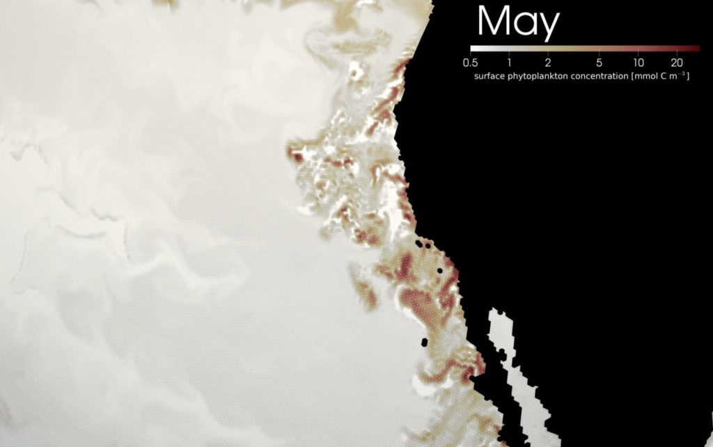 data visualization : The Pulse of Life in the California Current System ...