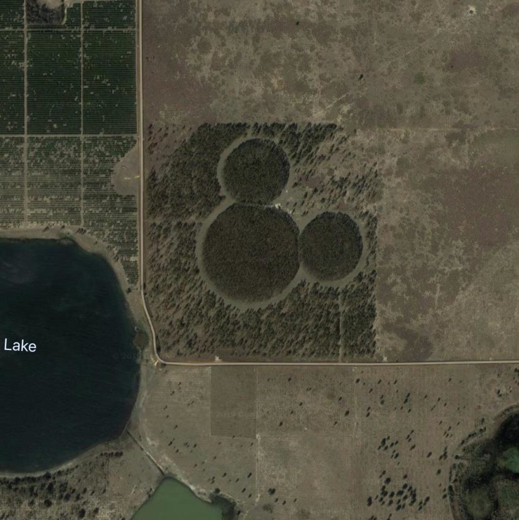 Map : Mickey Mouse Forest. – Infographic.tv – Number one infographics ...