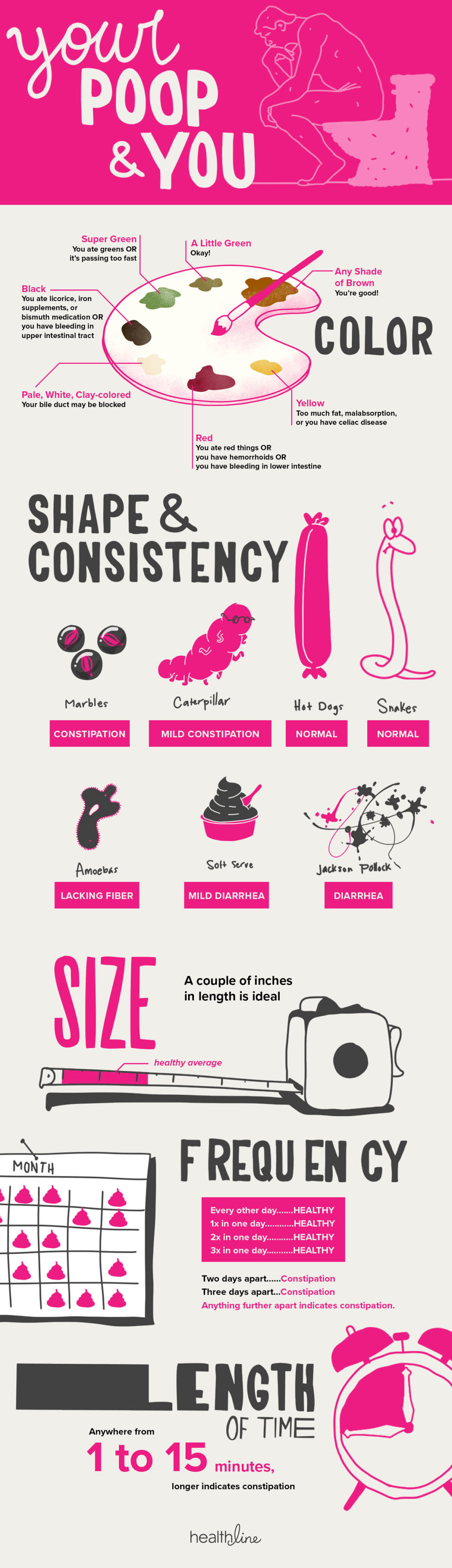 Visual : A comprehensive guide to your poop and you – Infographic.tv ...