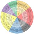Visual : An awesome guide for identifying emotions – Infographic.tv ...