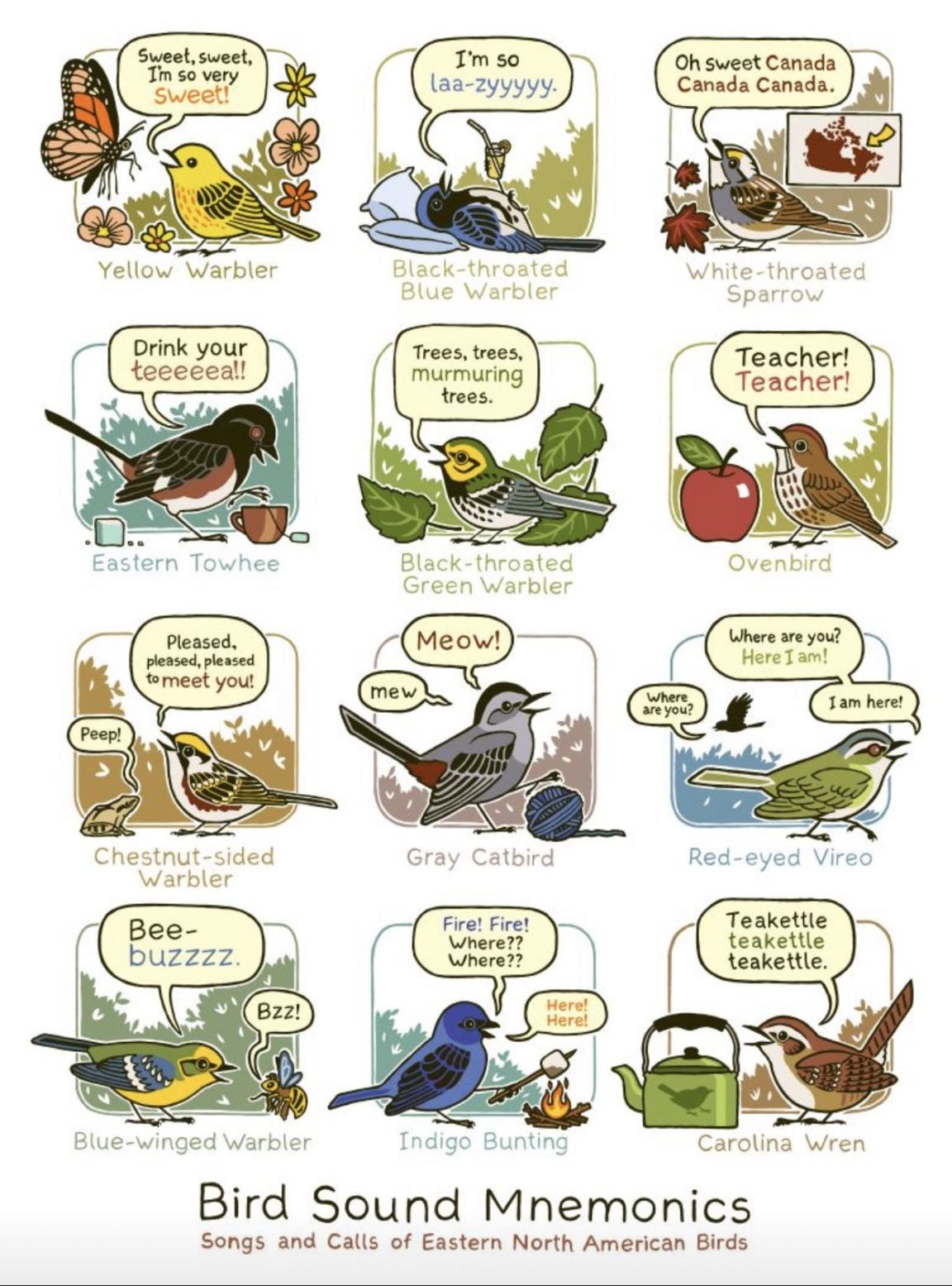 Visual : Bird Sound Mnemonics by Bird and Moon Comics – Infographic.tv ...