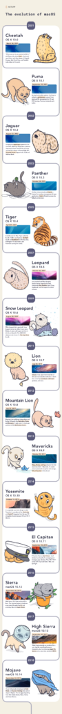 Visual : Cute guide – Infographic.tv – Number one infographics & data ...