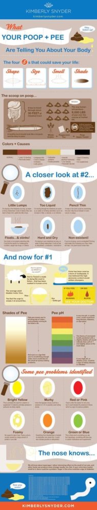 Visual : Intro to Poop 101 - Infographic.tv - Number one infographics ...