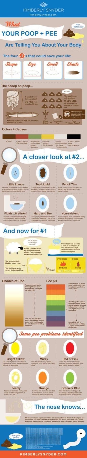 Visual : Intro to Poop 101 - Infographic.tv - Number one infographics ...