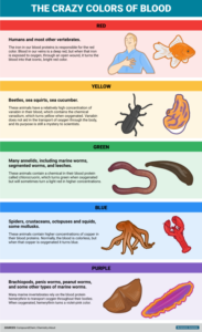 Visual : The different colours of blood in nature - Infographic.tv ...
