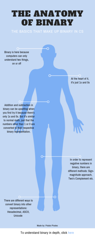 Chart : The Fundamentals of Binary - Infographic.tv - Number one ...