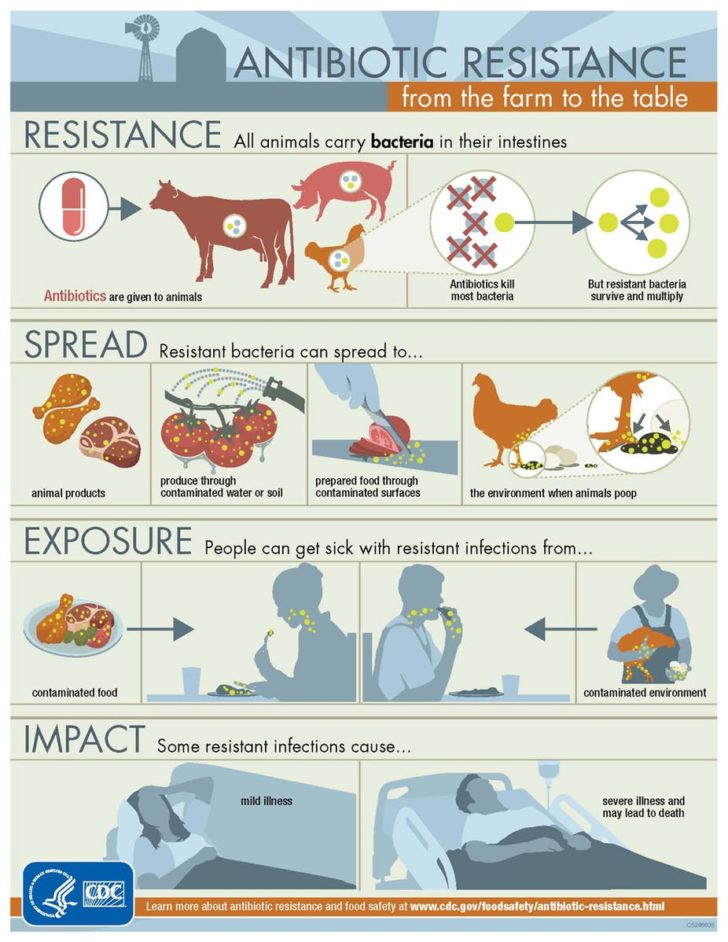 Infographic : CDC: Antibiotic Resistance From the Farm to the Table ...