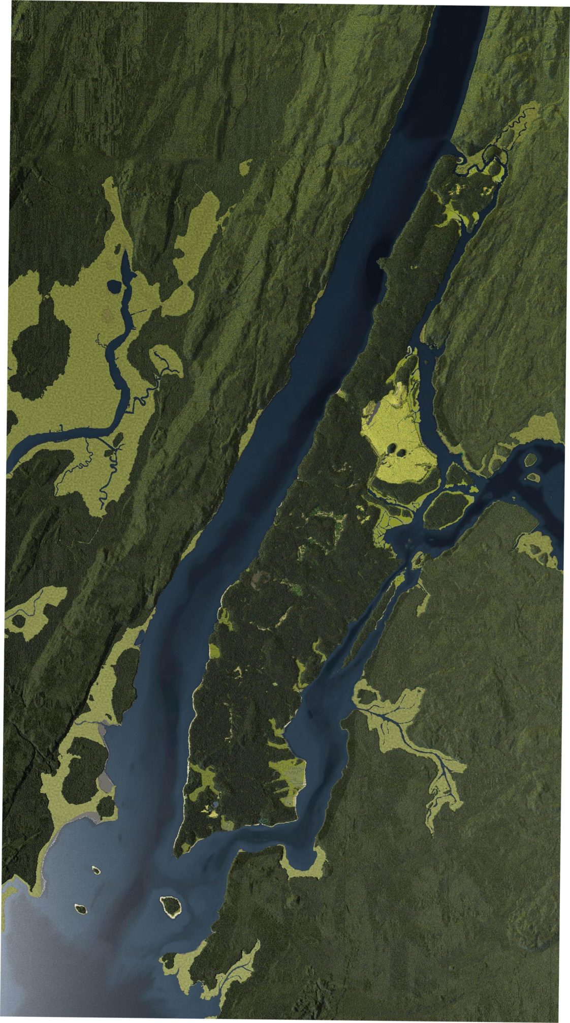 Map : Pre-colonial Manhattan “Mannahatta” – Infographic.tv – Number one ...