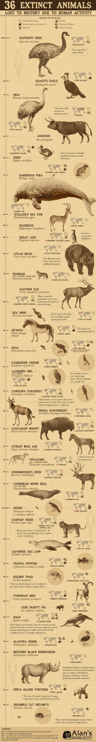 Infographic : 36 Animals That Became Extinct Due to Human Activity ...