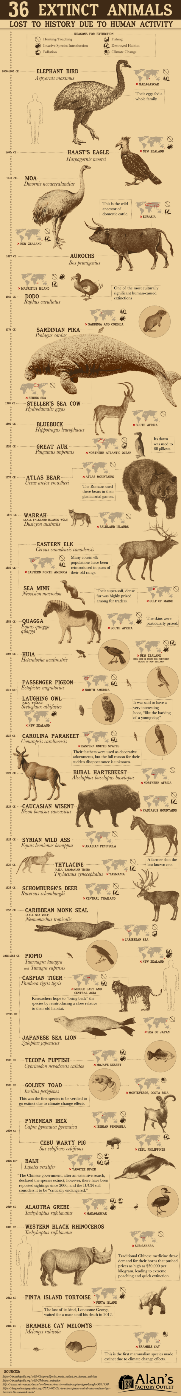 Infographic : 36 Animals That Became Extinct Due to Human Activity ...