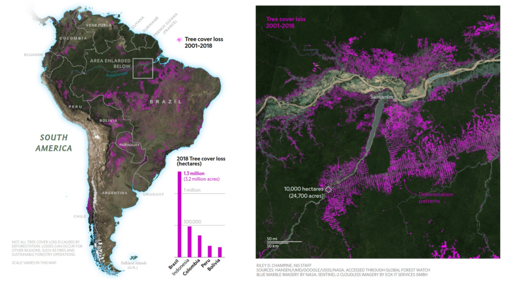 Map : Deforestation in South America 2001-2018. Source in the comments ...
