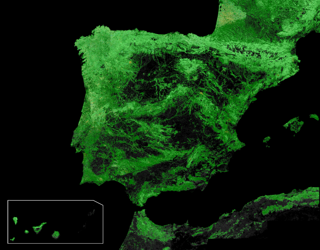 Map : Density of vegetation in Spain and surrounding areas [1600×1251 ...