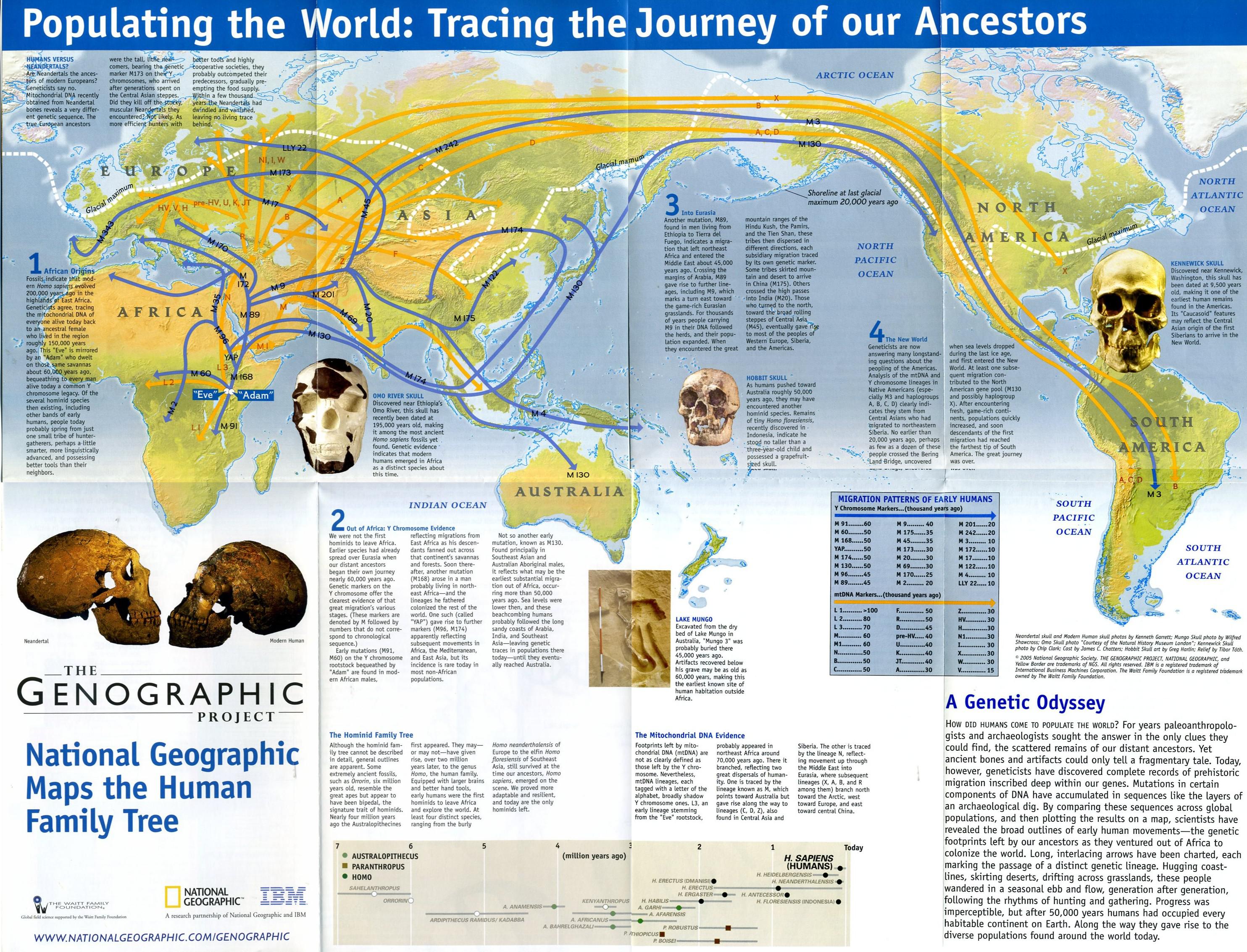 Map : Tracing the journey of our ancestors [2968×2266] – Infographic.tv ...