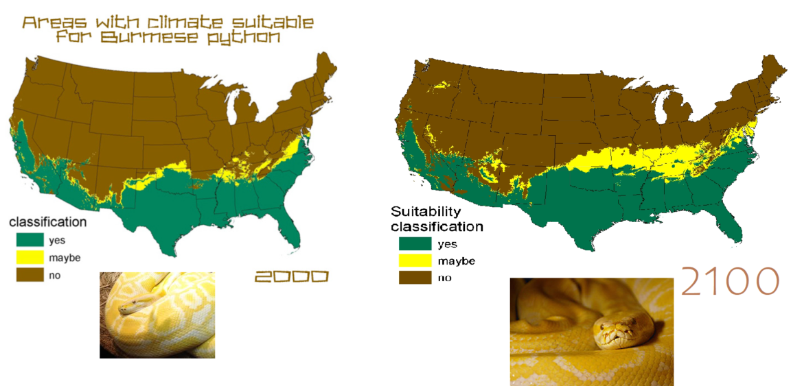 Map : effect of climate change on US habitat of burmese python between ...