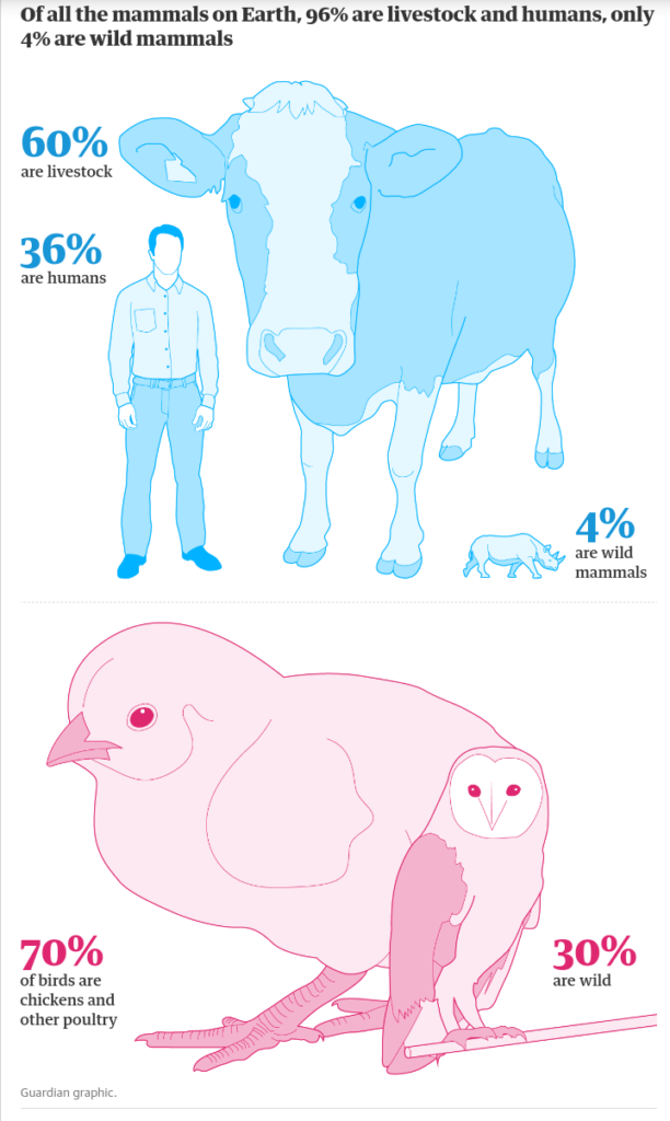 Infographic : Mammalian and avian global biomass – livestock vs wild ...