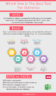 Infographic : SPSS vs Excel – Infographic.tv – Number one infographics ...