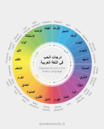 Infographic : The different levels of love in the Arabic language ...