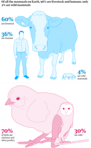 Infographic : The scale of the animal industry – Infographic.tv ...