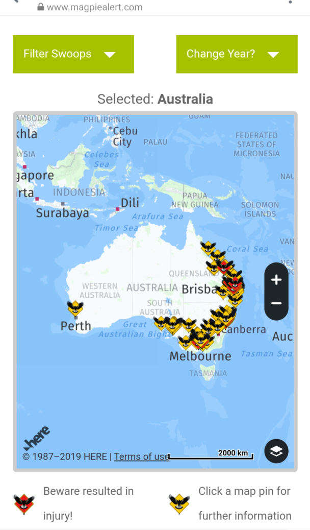 Map : A map of Magpie swoop attacks in Australia 2019 – Infographic.tv ...