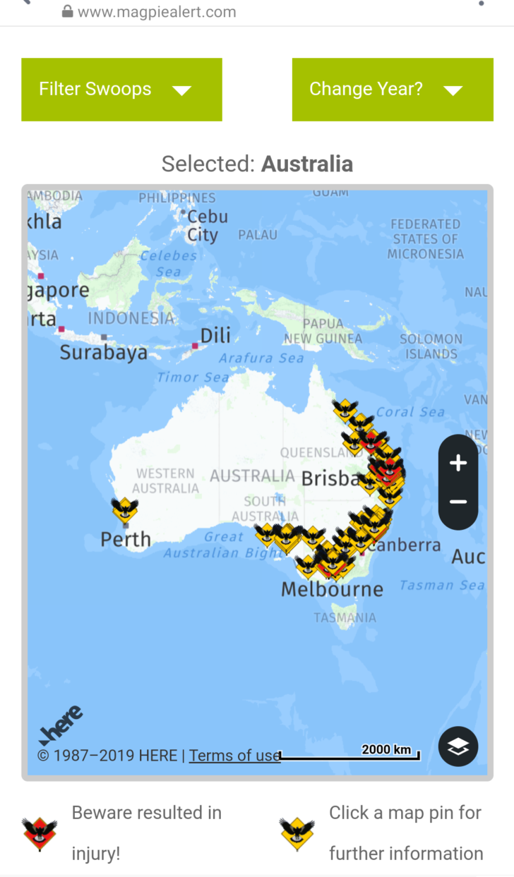 Map : A map of Magpie swoop attacks in Australia 2019 – Infographic.tv ...