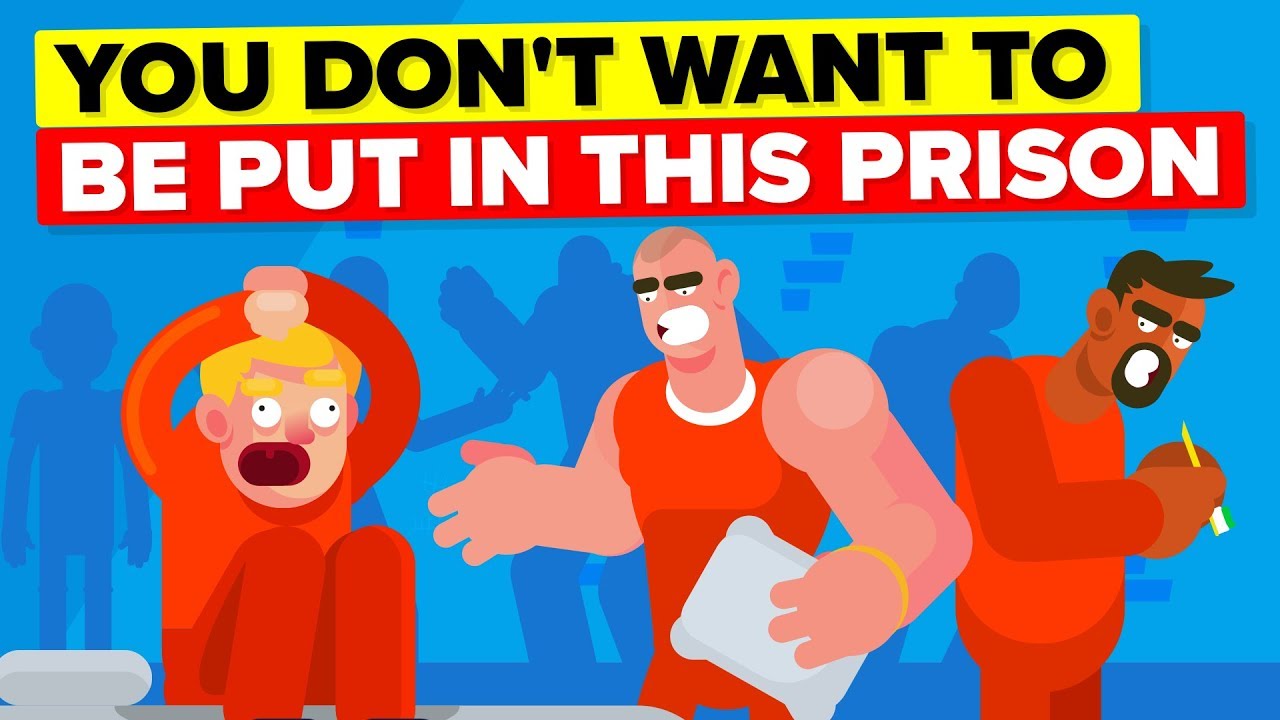 Video Infographic : Sleeping In A Room With 100 Prisoners - Infographic ...
