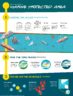 Infographic : How to make an MPA (Marine protected Area) – Infographic ...