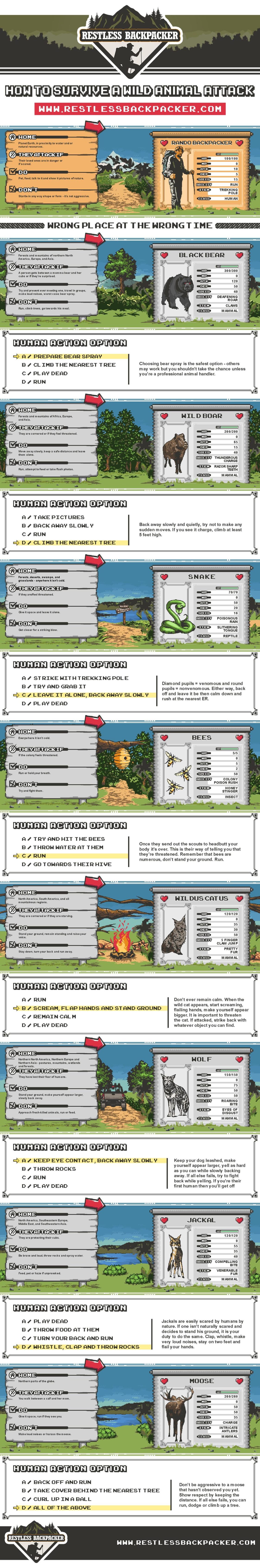 Infographic : Survival Guide – Wild Animal Encounters: Do’s and Don’ts ...