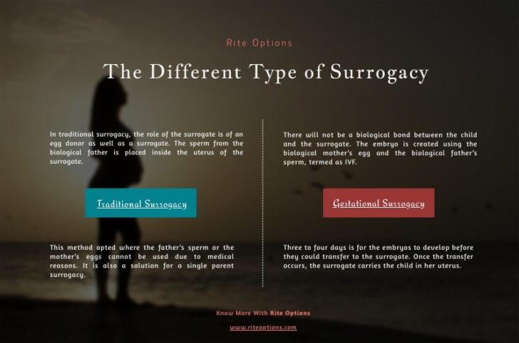 Infographic : The Different Types Of Surrogacy – Infographic.tv ...