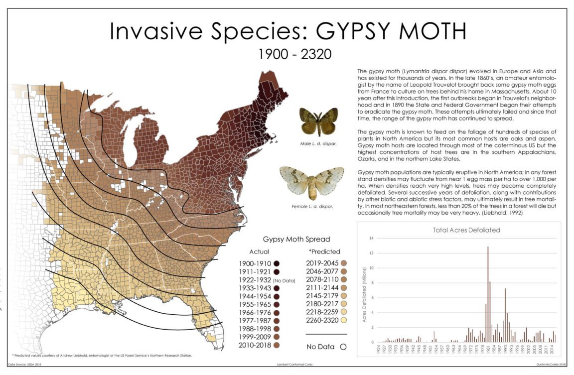 Map : Invasive Species: Gypsy Moth. I made this towards the end of 2018 ...