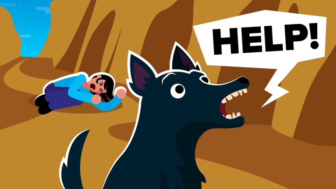 Video Infographic : Amazing Survival Story Of A Dog Saving A Human ...