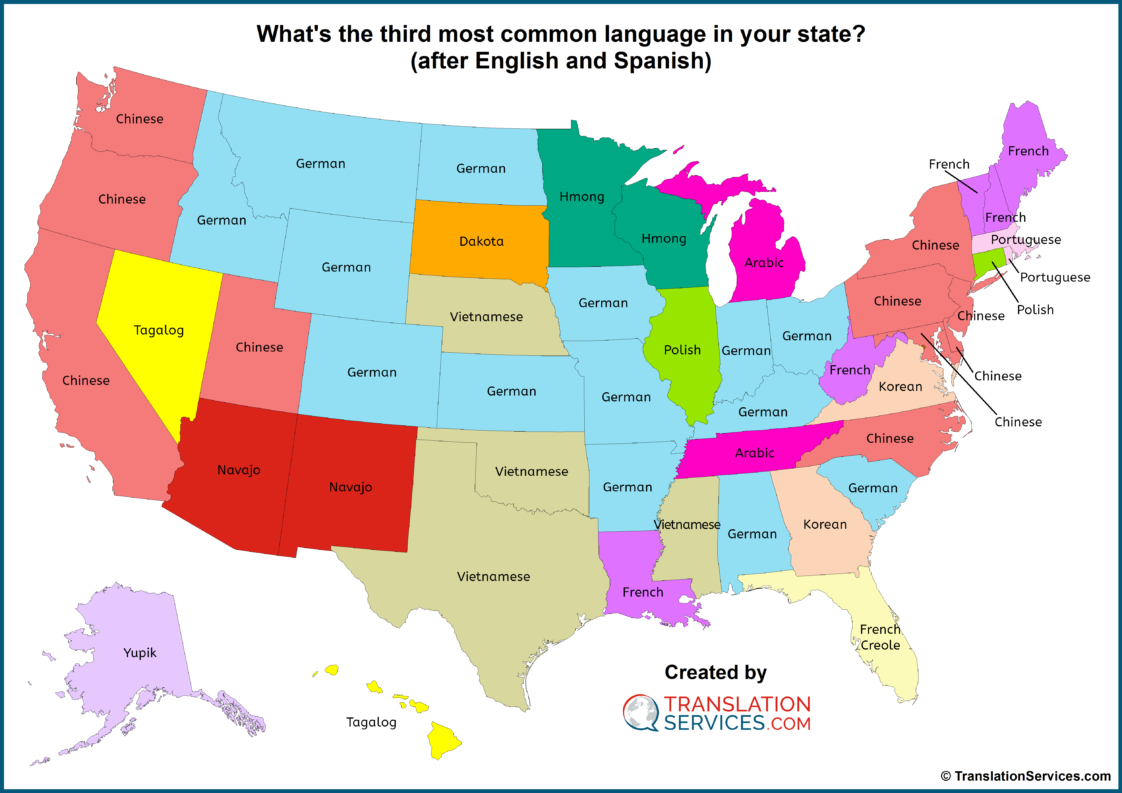 Chart : Excluding English and Spanish, what is the most common language ...