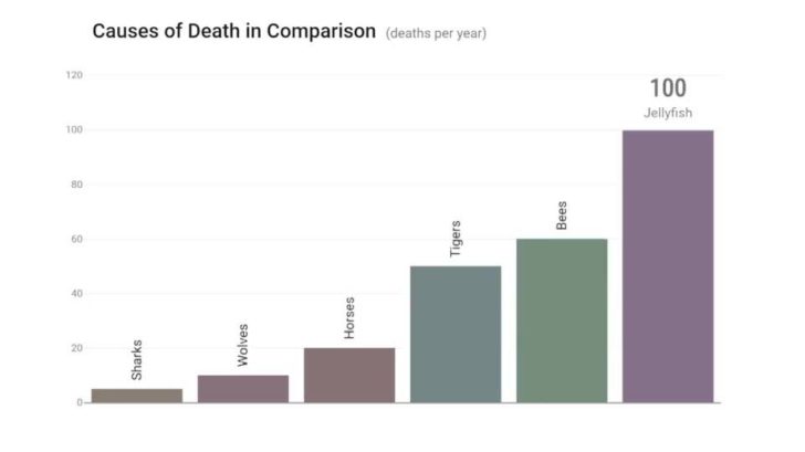 Infographic : Causes of Death in Comparison – Infographic.tv – Number ...