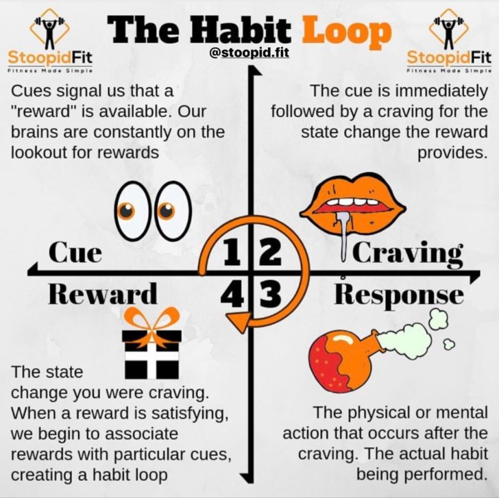 Infographic : How Habits Happen – Inspired By James Clear – Infographic ...