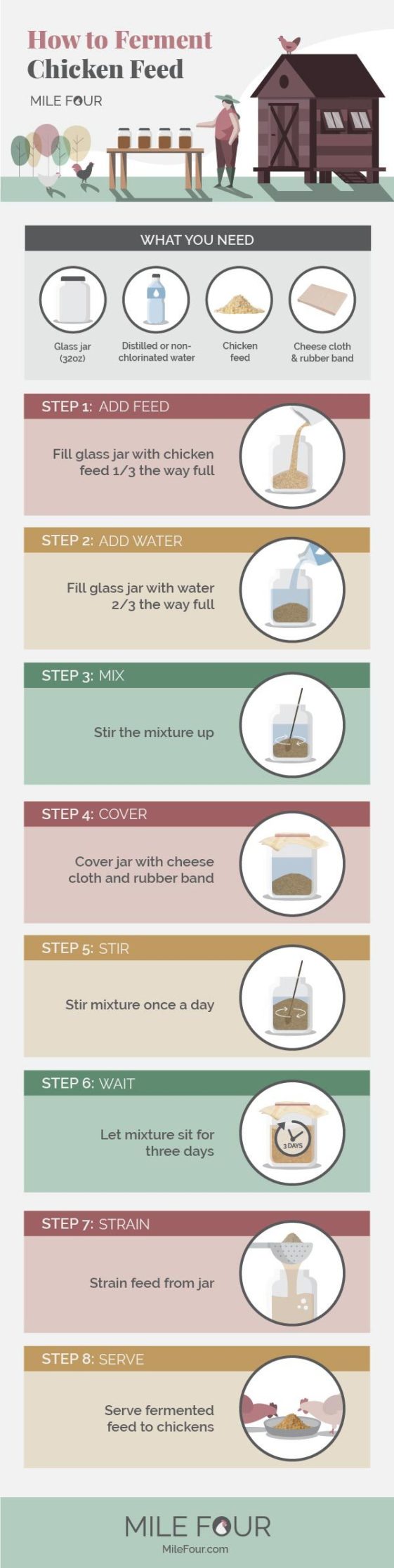 Infographic : How to Ferment Your Own Chicken Feed - Infographic.tv ...