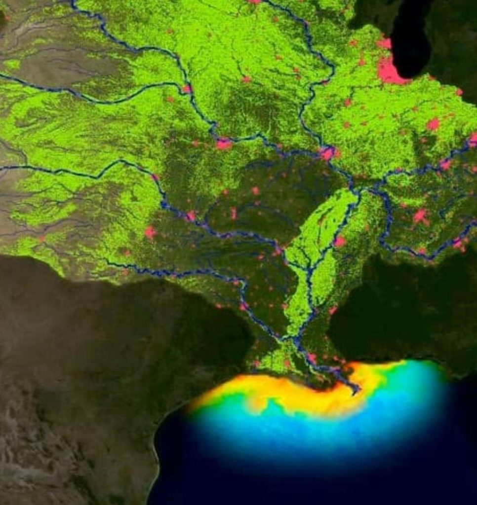 Map : What is a Dead Zone? oxygen concentration is so low that animals ...