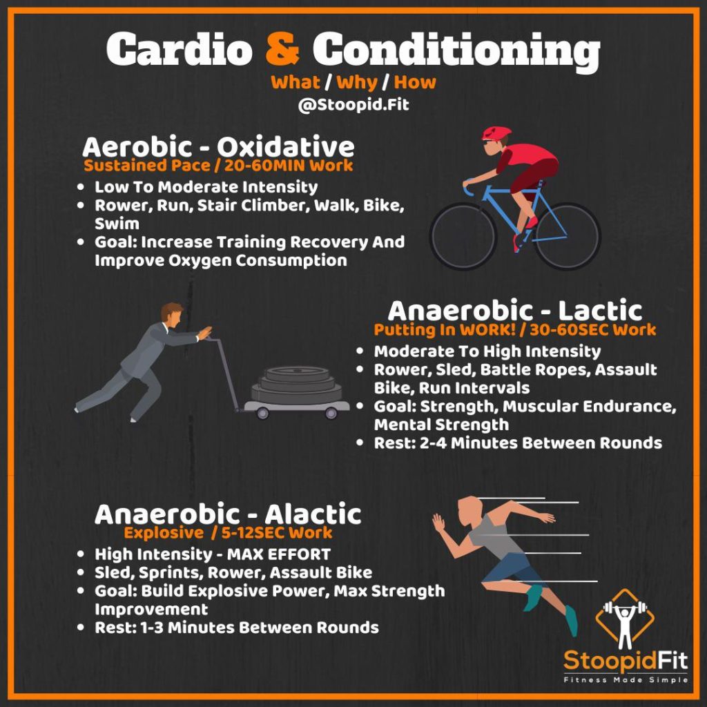 Infographic : Insurance BPO Sector Set for Rapid Growth by 2025 ...